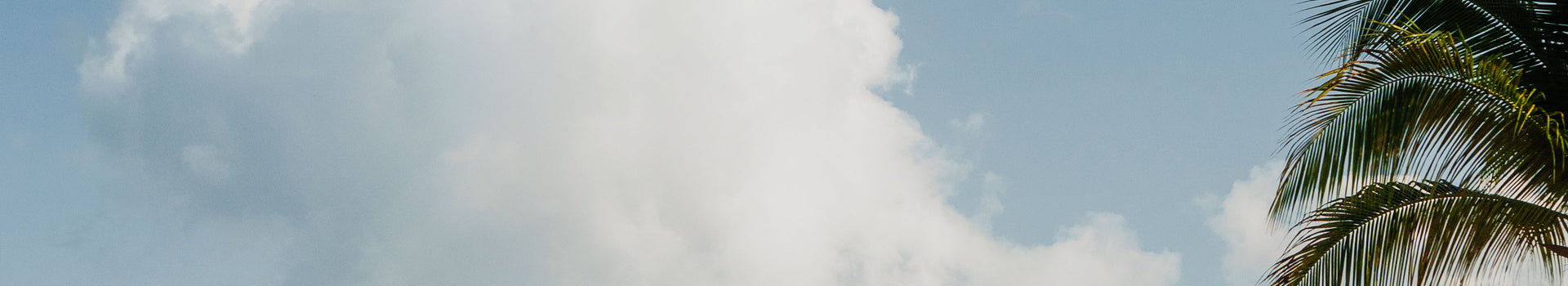Women's Sail Shop | Southern Tide Sale and Clearance